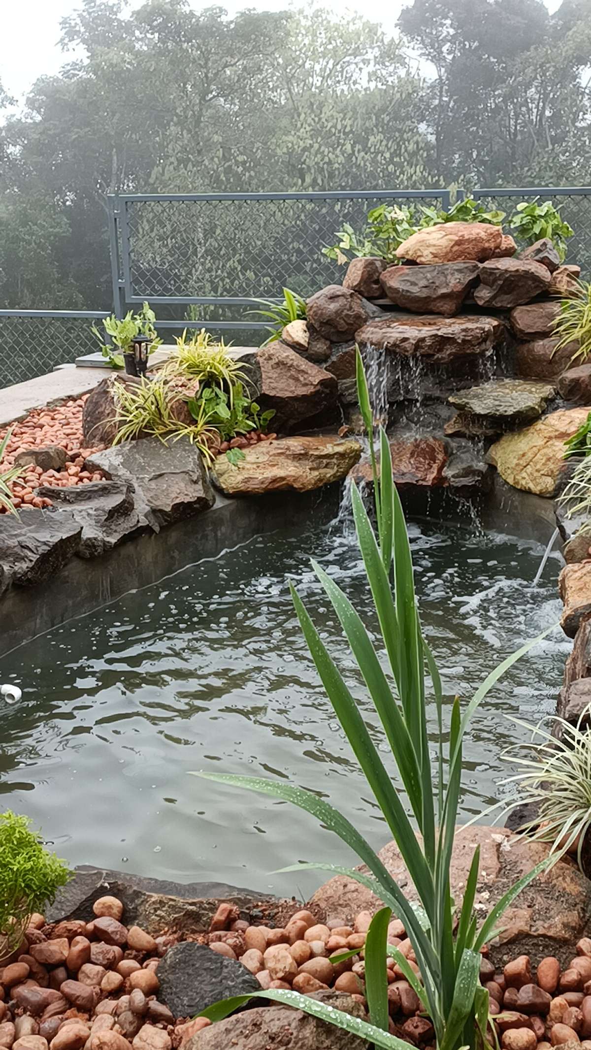 Designs by Gardening & Landscaping Senthil Muthuswamy, Alappuzha | Kolo