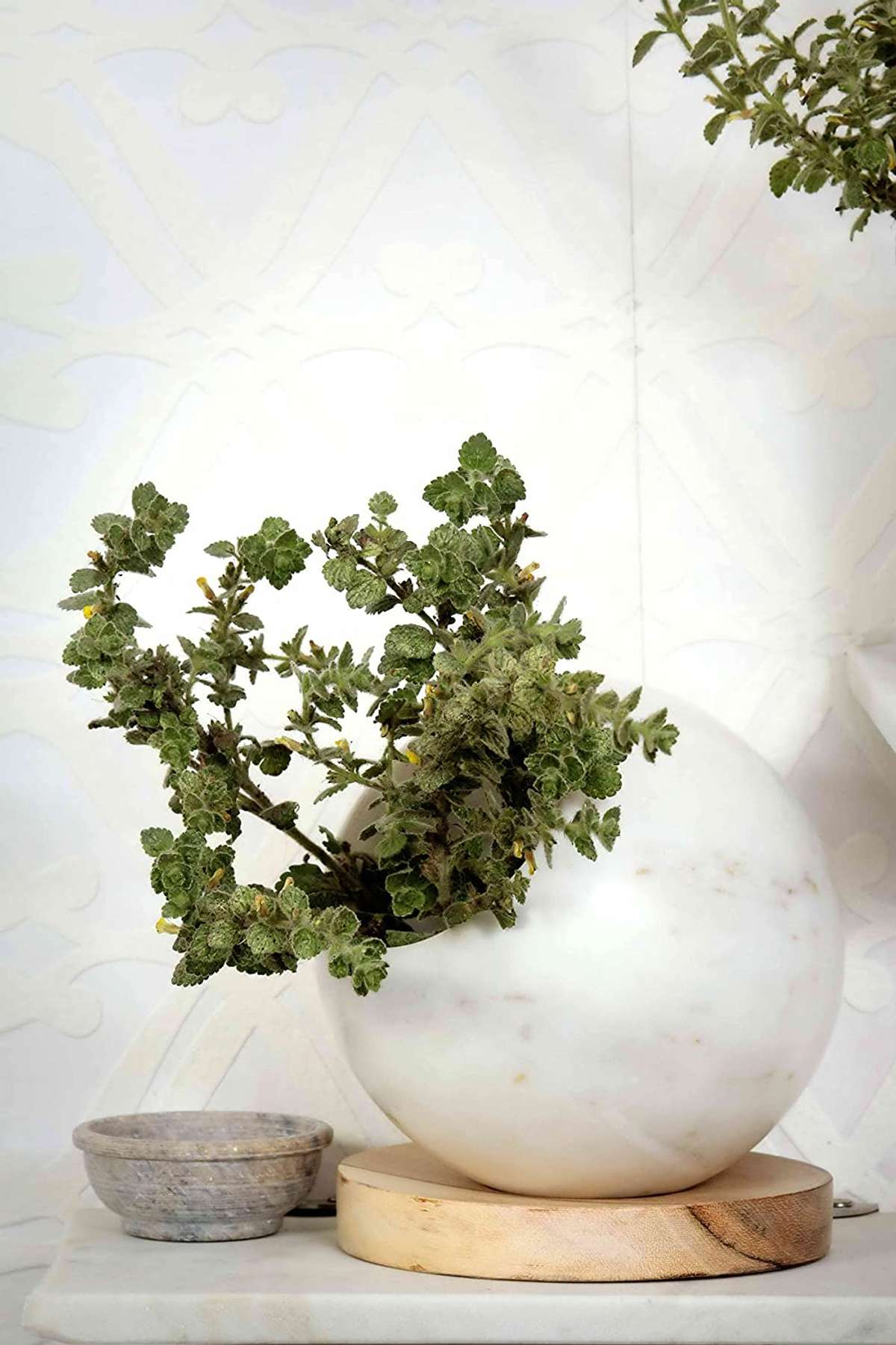 POSH N PLUSH Ball Marble Planter with Wooden Base Pots for Plants Home ...