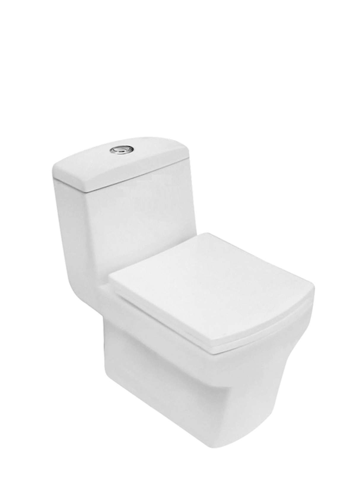 Parryware Camel Single Piece Suite – C8856