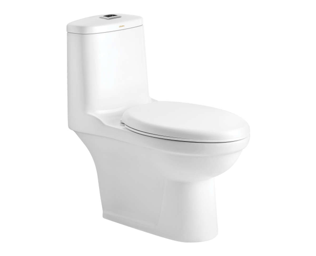 Parryware Floor Mounted White 1 Piece Wc Opula With P-Trap-C847L