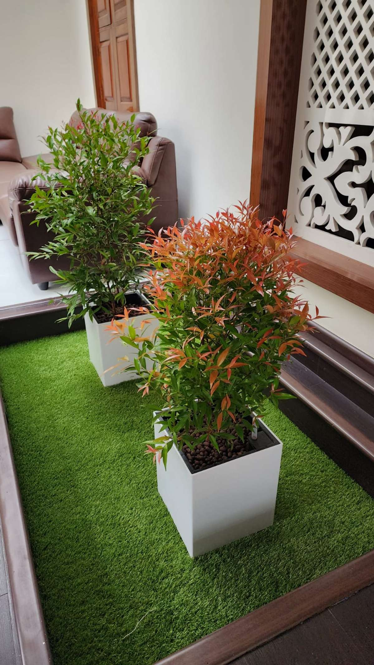 Designs by Gardening & Landscaping ROYAL GARDEN, Malappuram | Kolo