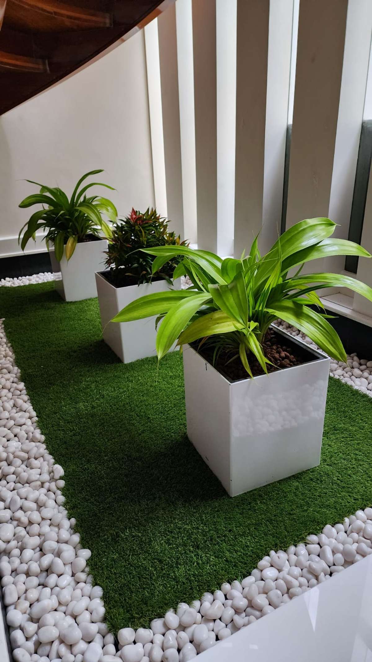 Designs by Gardening & Landscaping ROYAL GARDEN, Malappuram | Kolo