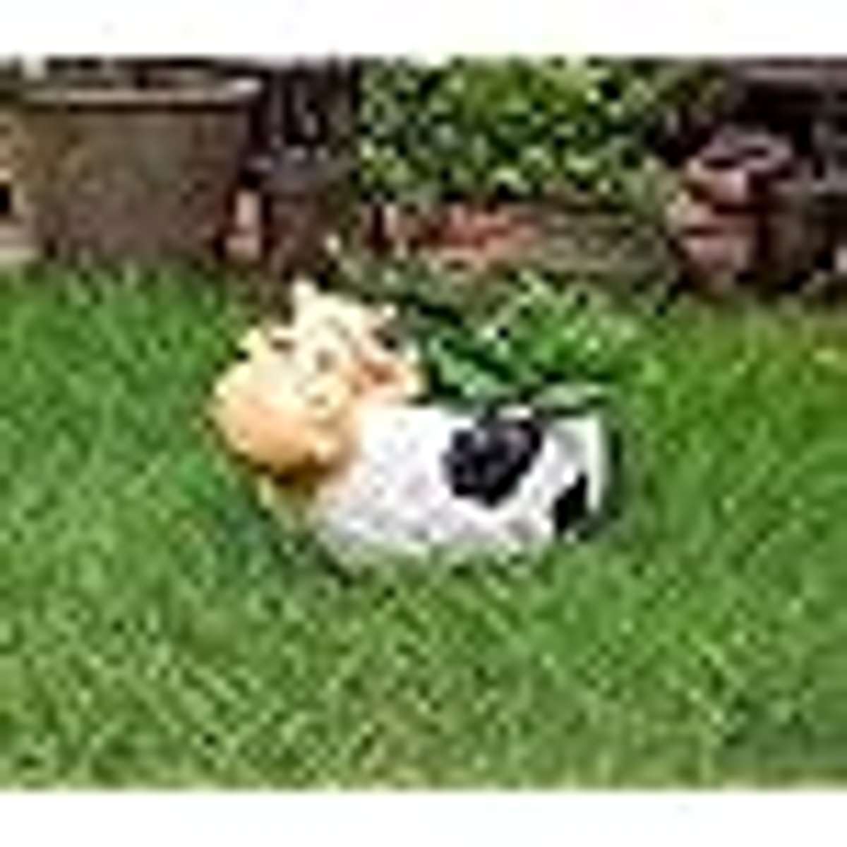 Cow Shape Polyresin Flower Succulent Planter Pot