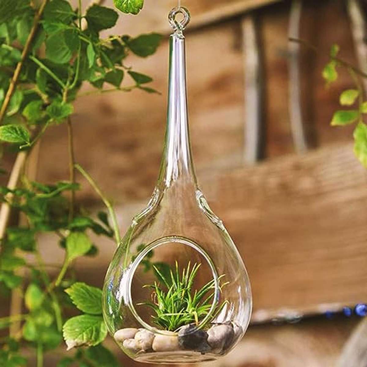 Leafy Dew - Connecting People With Nature Teardrop Hanging Succulent ...