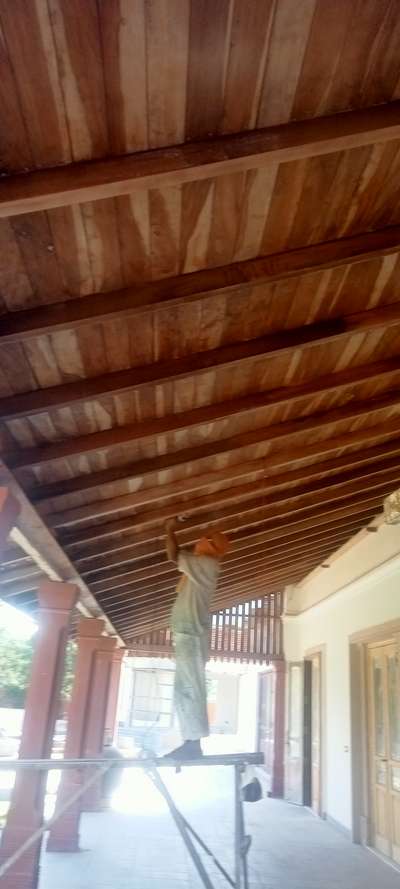 Designs by Painting Works Furkan Ali, Delhi | Kolo