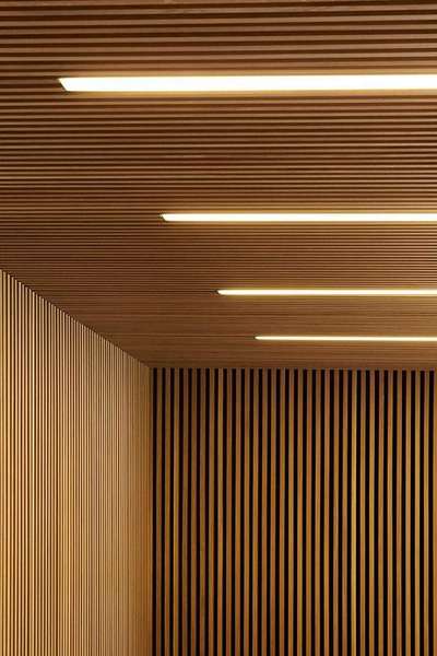 Ceiling, Lighting Designs by Interior Designer Rajiv Kumar, Ghaziabad ...