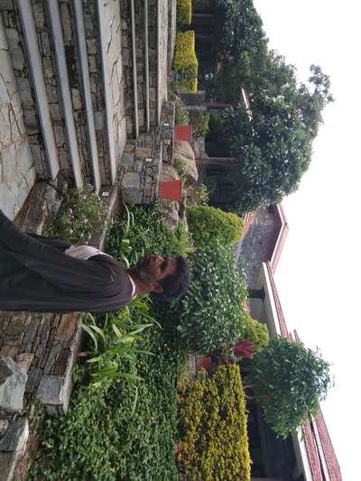 Designs by Painting Works Sharafat Sharafat Ali, Pali | Kolo