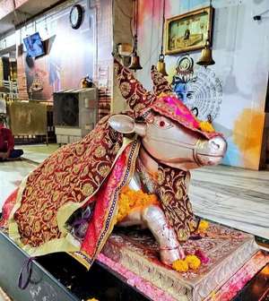 Tarun Kumar, Painting Works from Delhi, Delhi